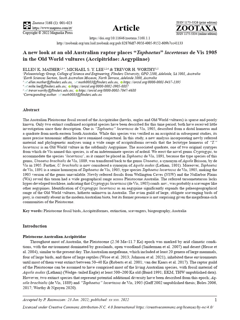 A New Look at An Old Australian Raptor Places "Taphaetus" Lacertosus de ...