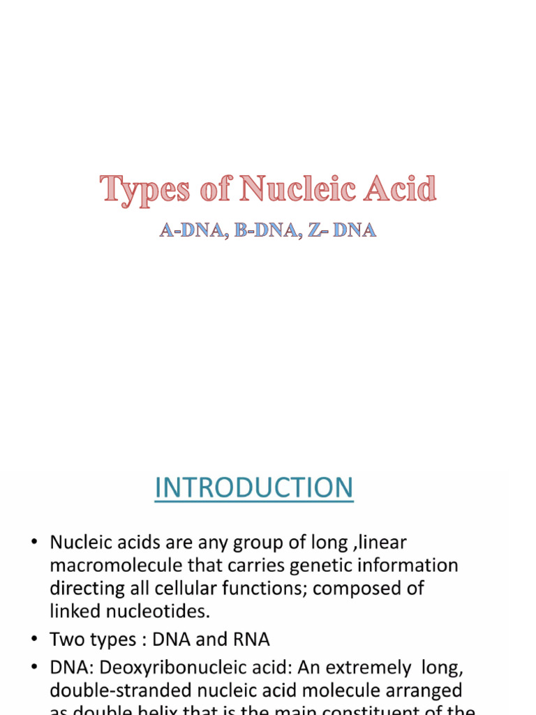 Types of Nucleic Acid (A-DNA, B-DNA, Z - DNA) | PDF