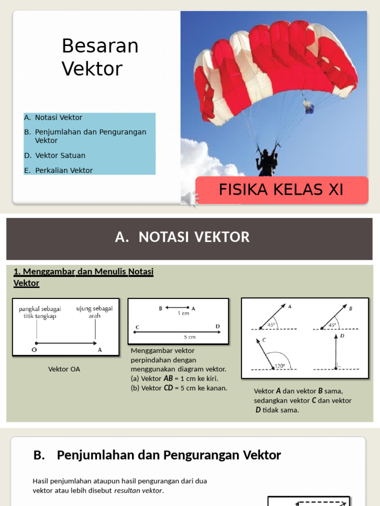 Vektor | PDF