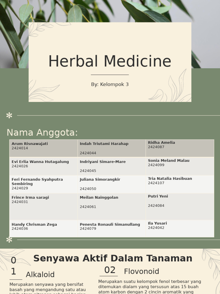 Herbal Medicine Kel 3 Fix | PDF