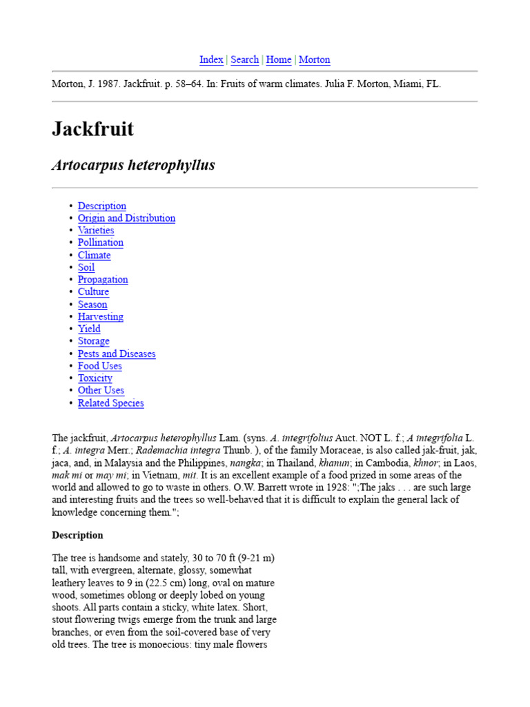 Jackfruit Tree | PDF