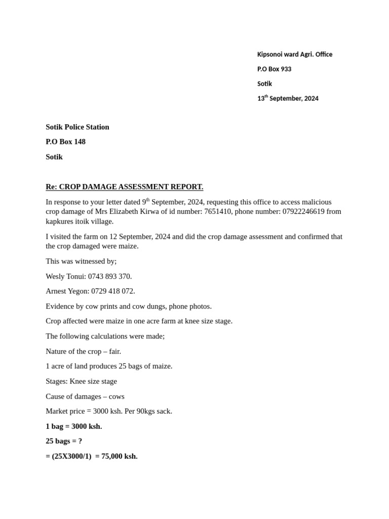 Sotik Police Station | PDF