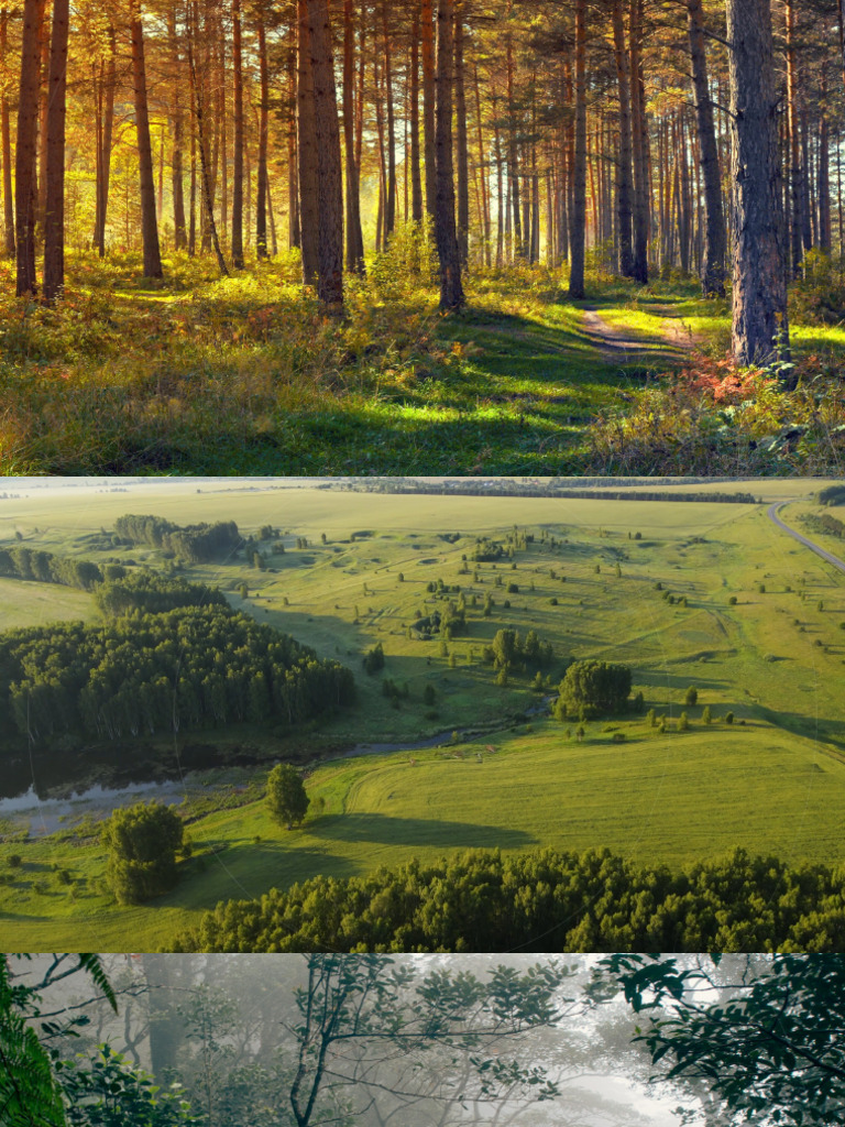 Transitions in Powerpoint | PDF