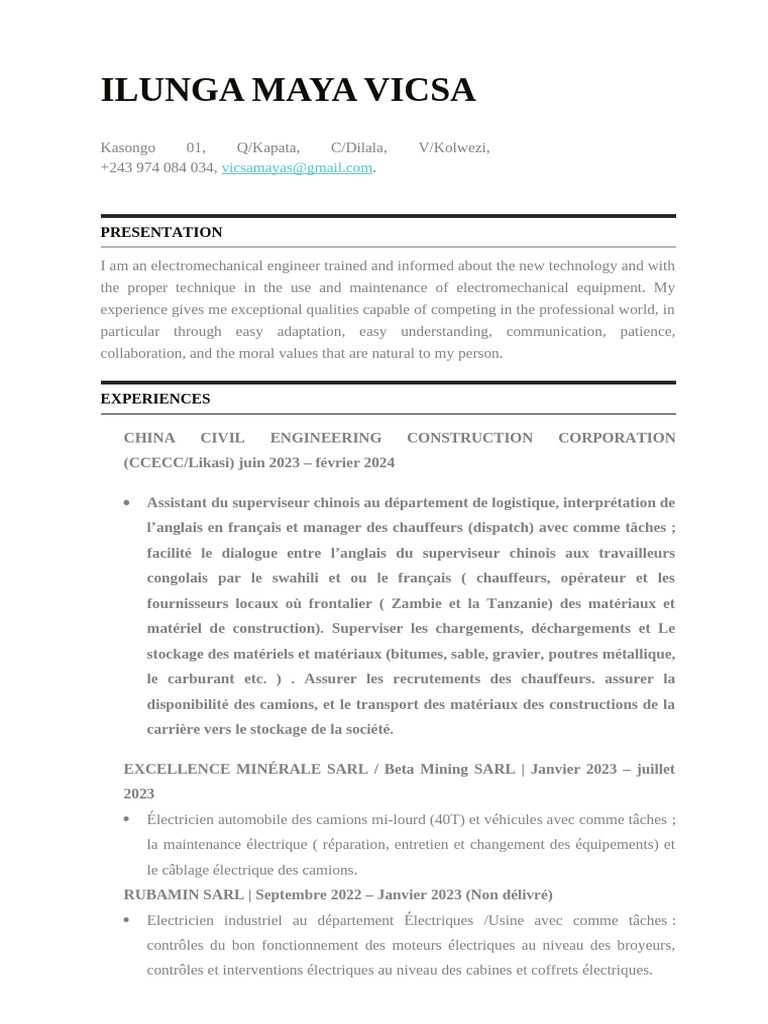 Vicsa Maya CV 2024 | PDF