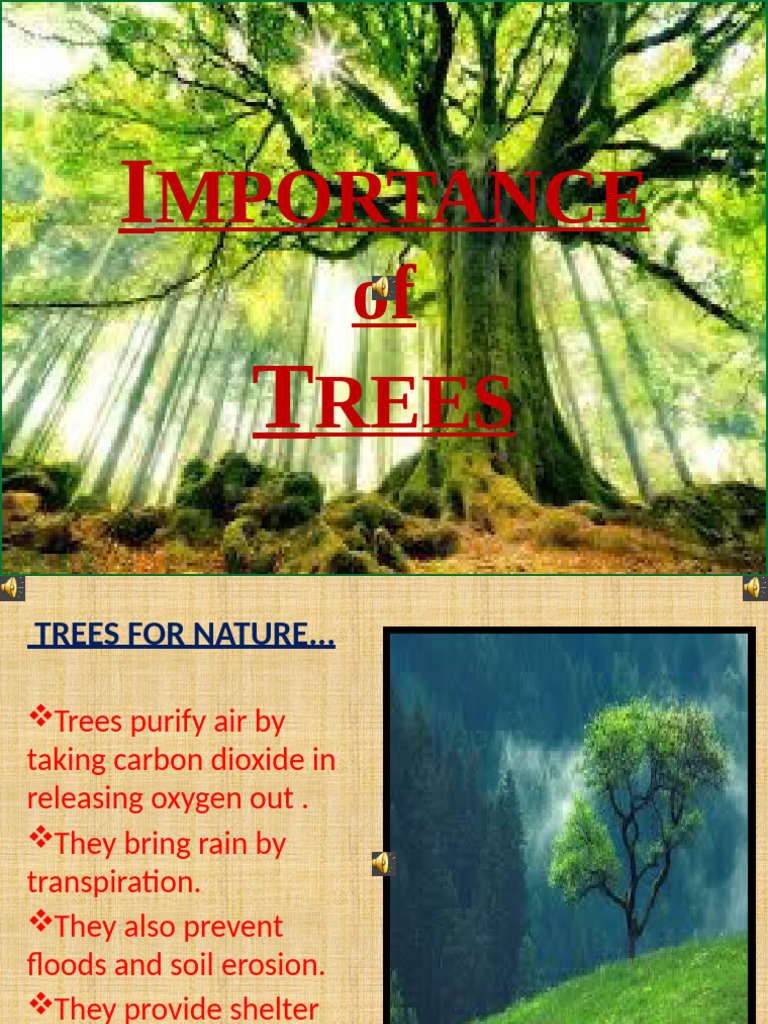 Trees | PDF