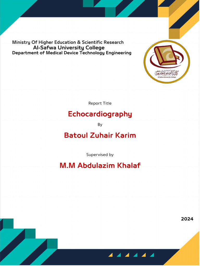 تقرير Echocardiography | PDF