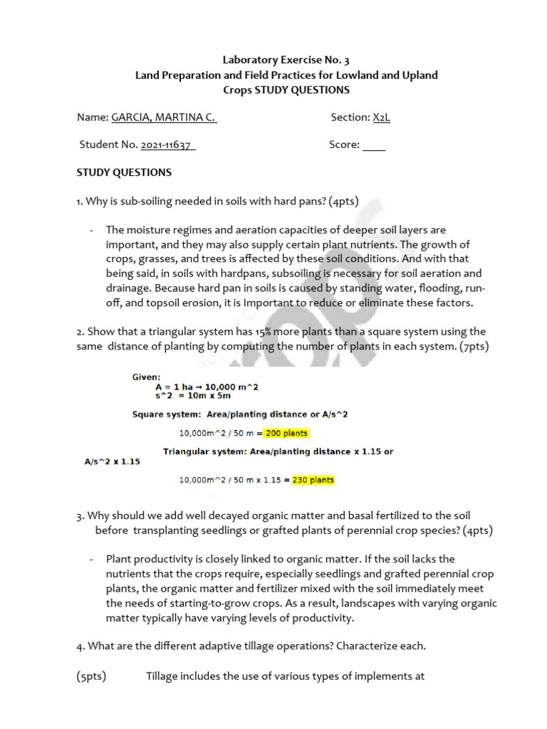 Exercise 3 Worksheet+SQ | PDF