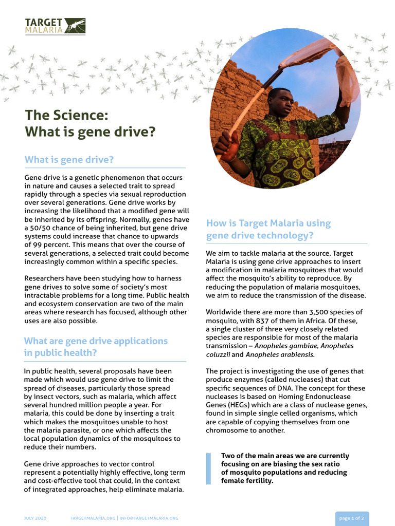Gene Drive | PDF