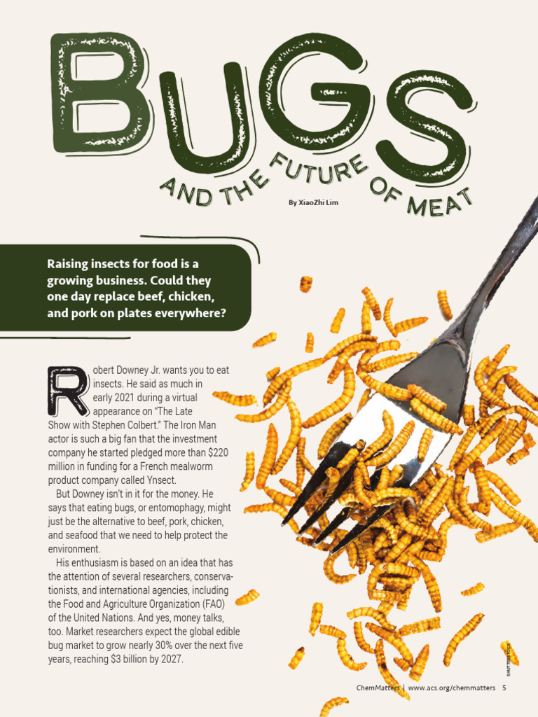 Bugs and The Future of Meat | PDF