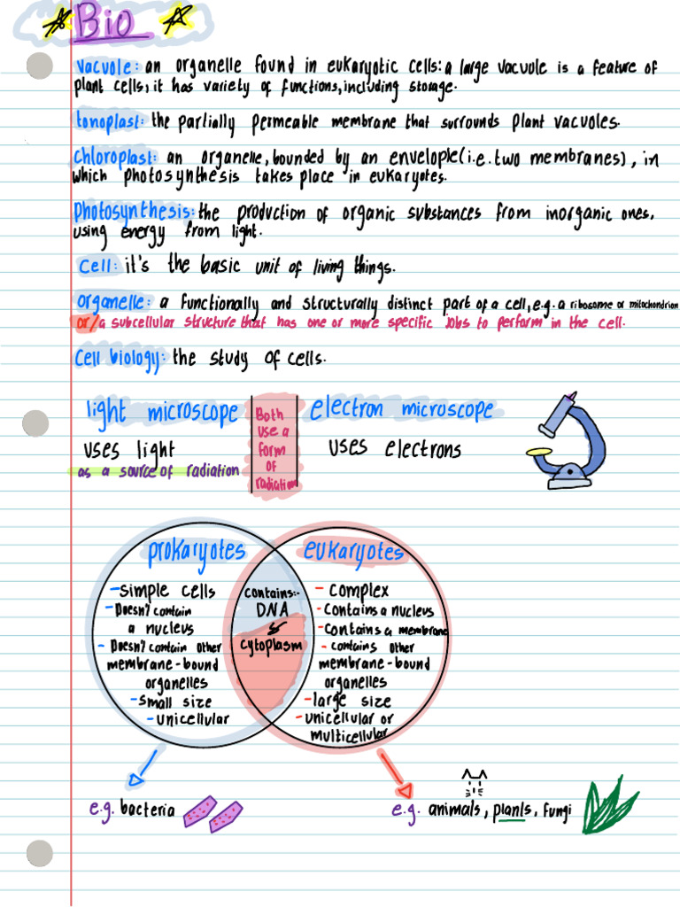 Note 28 Sep 2024 | PDF