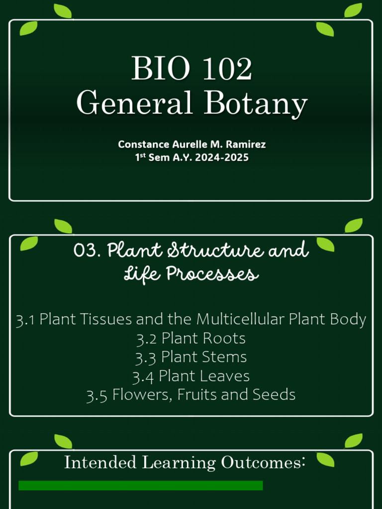3.1 Plant Tissues and The Multicellular Plant Body | PDF