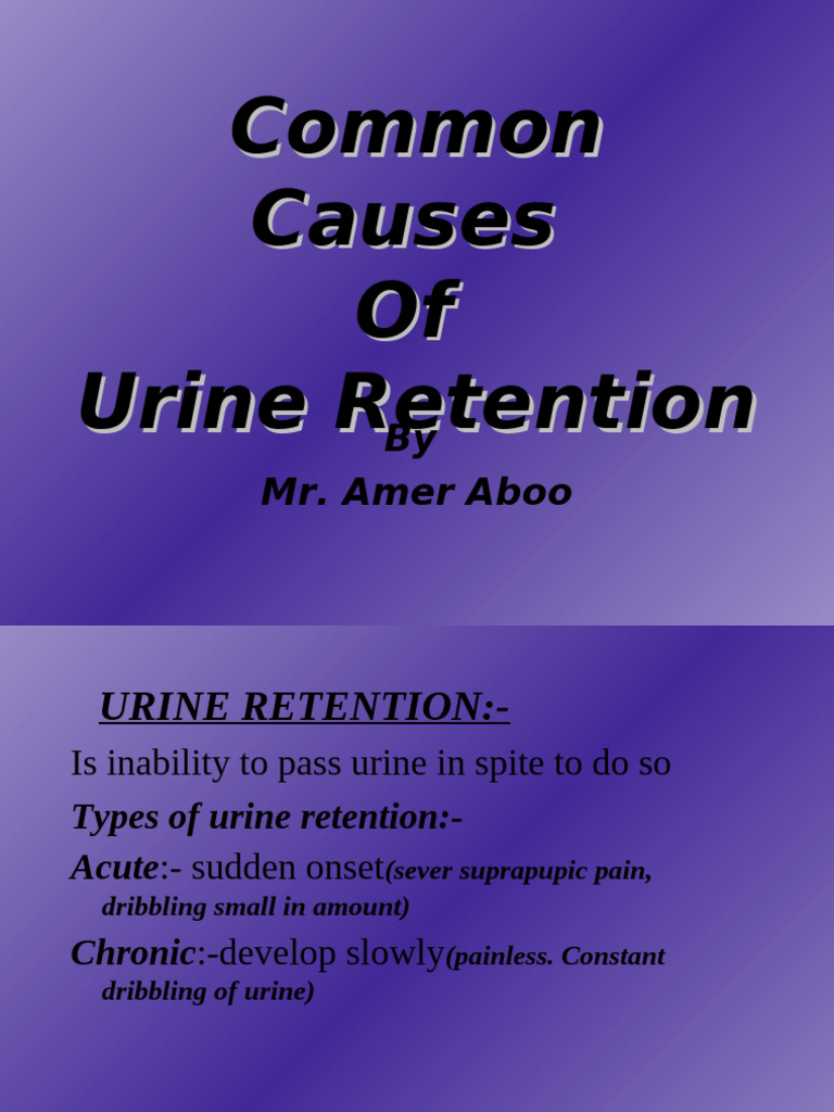 Common Causes of Urine Retention | PDF