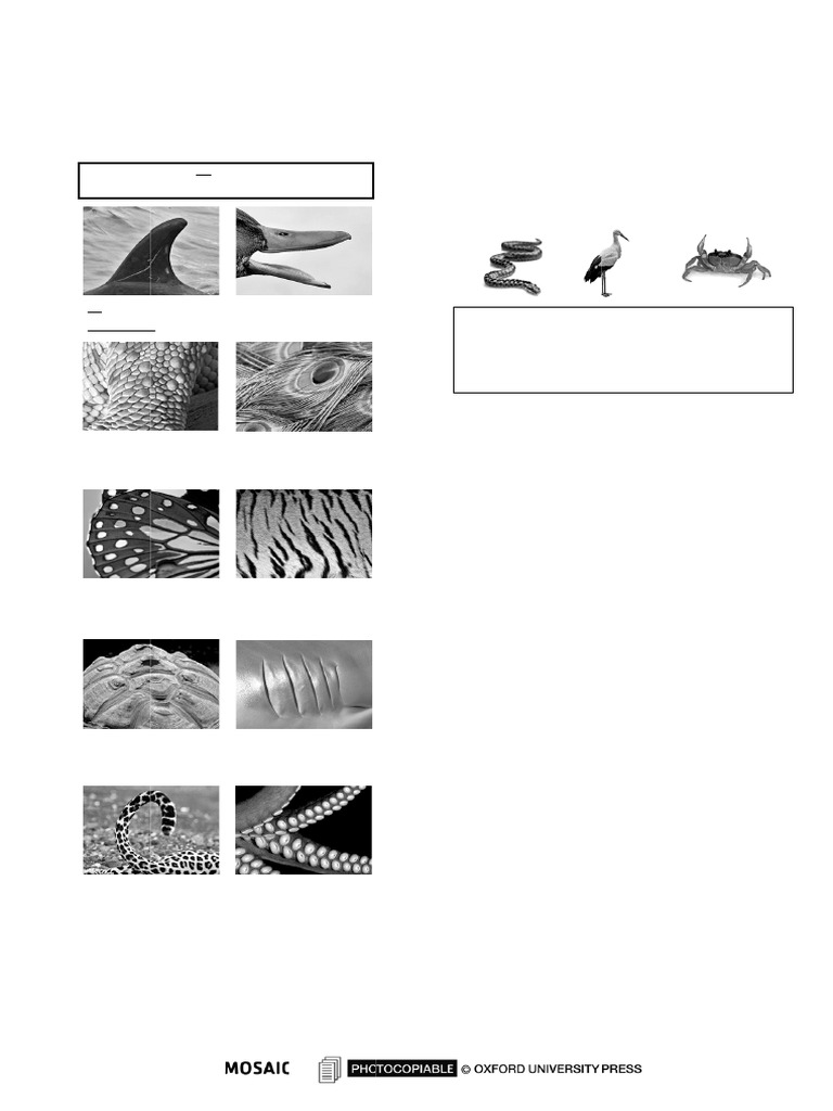 Mosaic 1 - Science | PDF