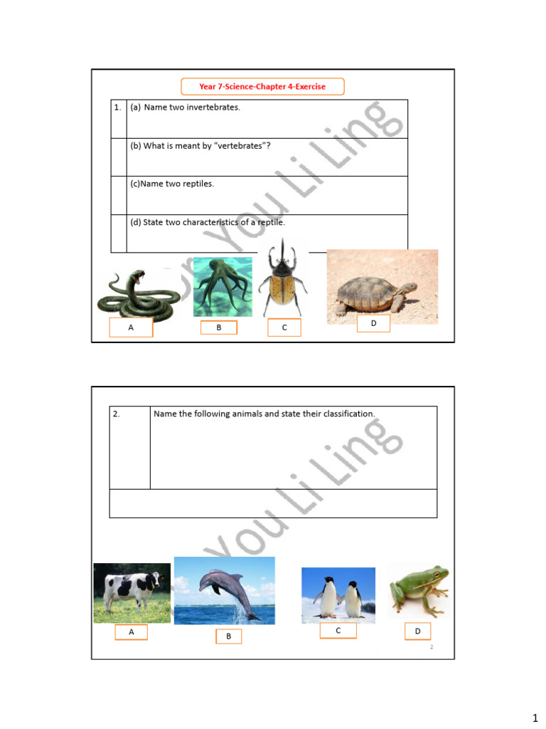 IGCSE-Year 7-Science-Chapter 4-Grouping and Identifying Organisms ...