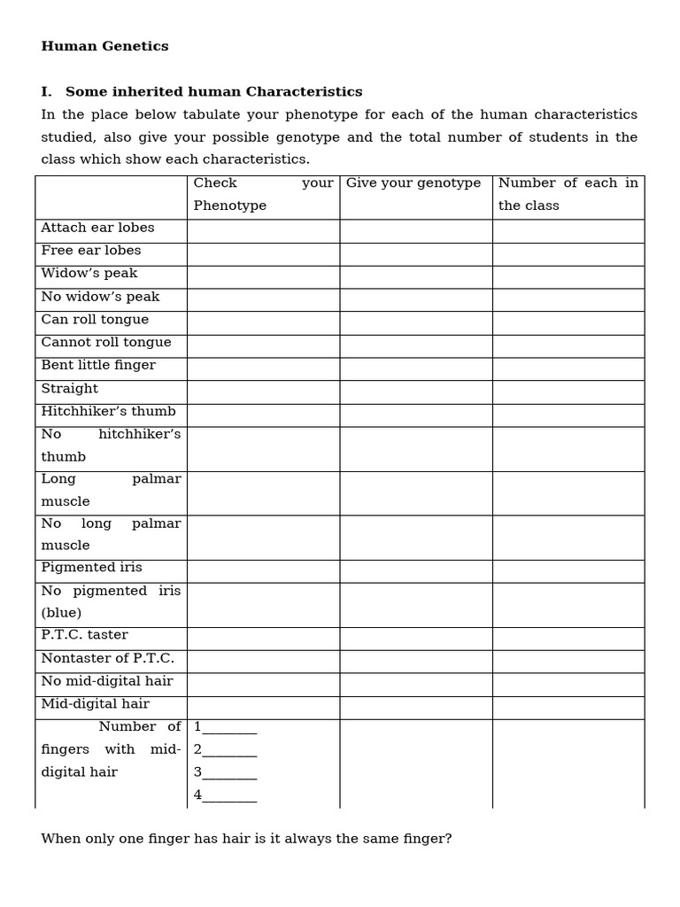 Human Genetics Activity | PDF