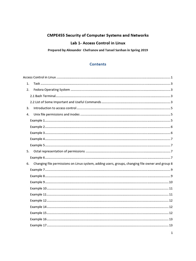 CMPE455 Lab 1_Access Control | PDF