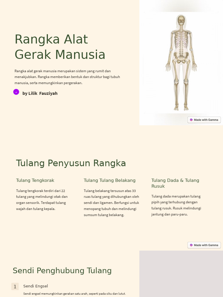 Rangka Alat Gerak Manusia | PDF