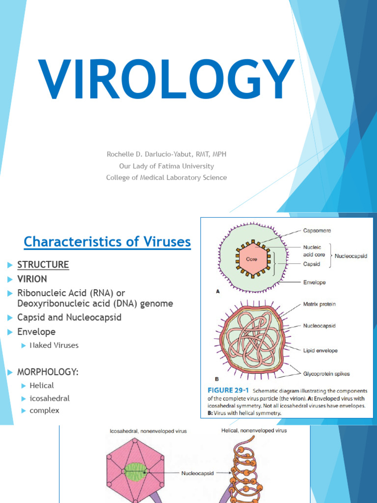 VIROLOGY | PDF