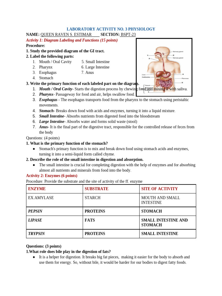 Gastro Intestine Pdf
