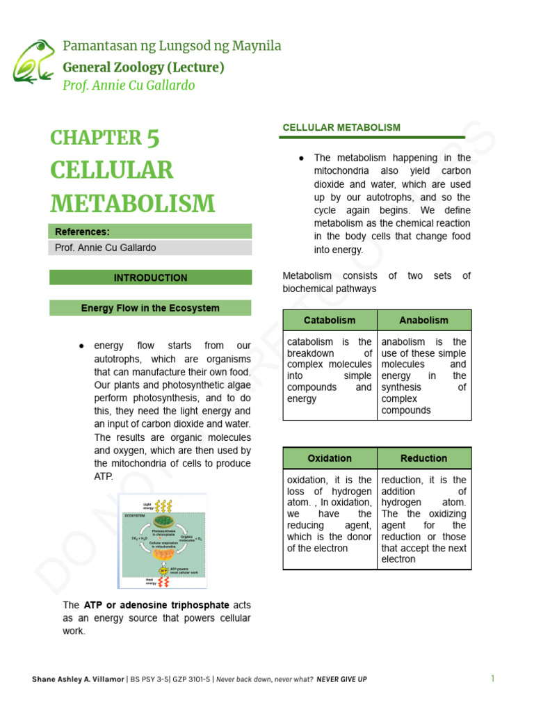 (Genzoo) CH5 Transes | PDF