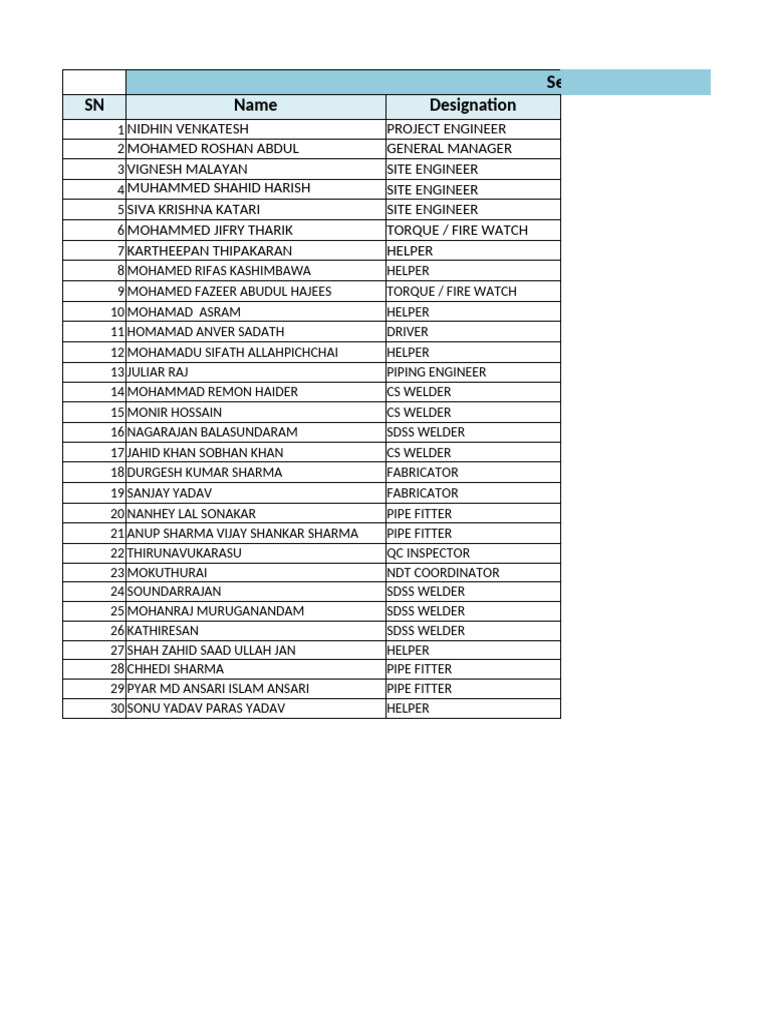 Manpower - List (BLACK CAT) | PDF