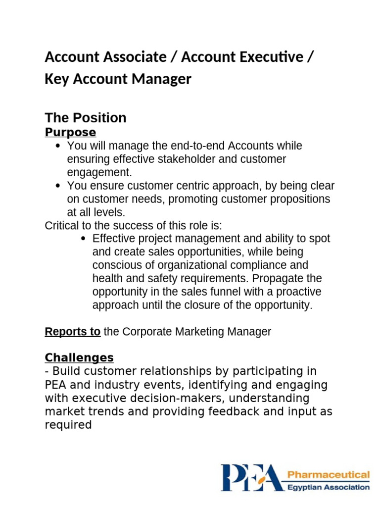 Account Executive Key Account Manager Job Description | PDF