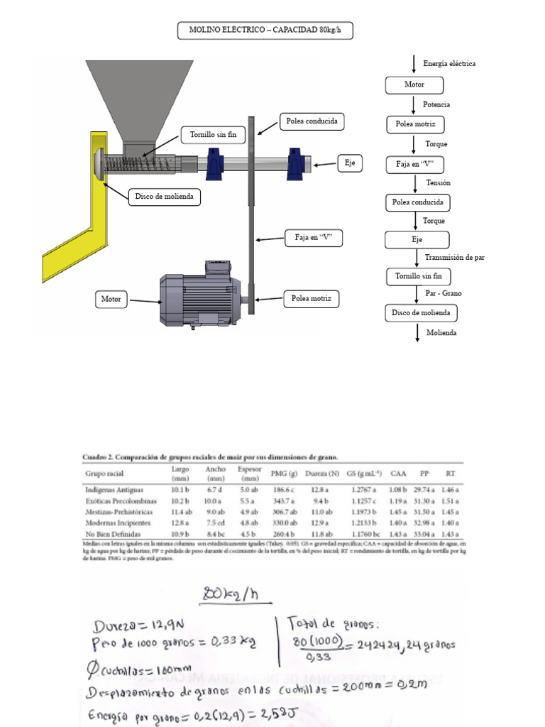 Ejemplo de Representación Del Proyecto Definitivo | PDF
