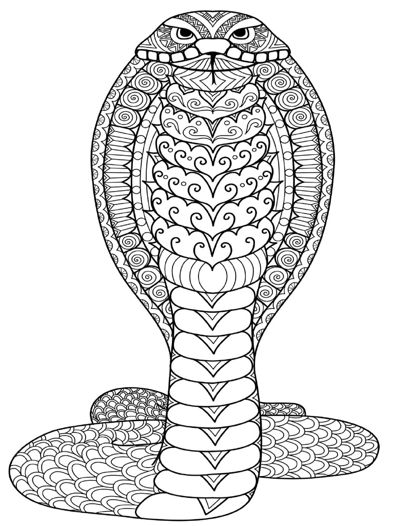 Serpent | PDF