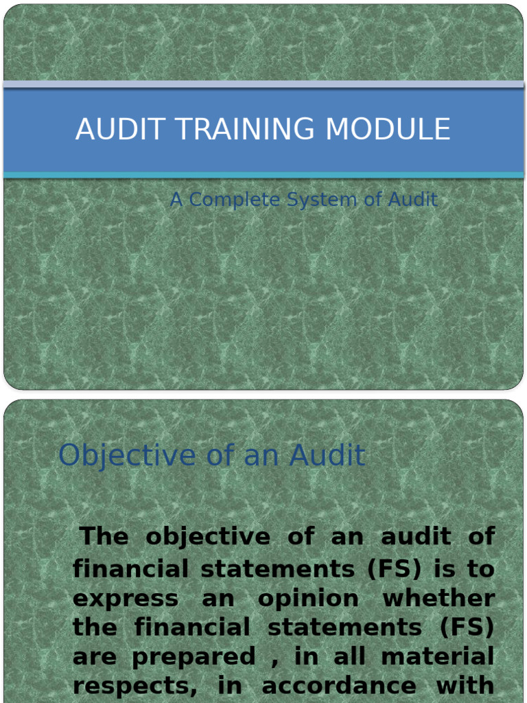 Audit Training Module | PDF