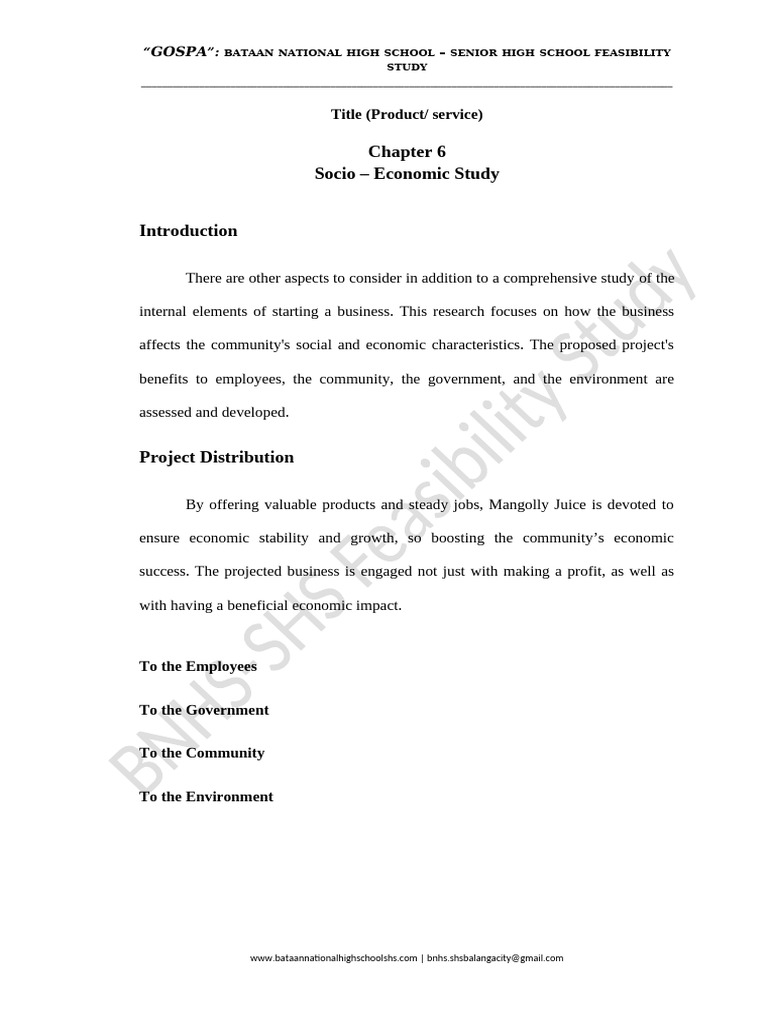 Feasibility Study Chapter 6 8 FORMAT Template | PDF