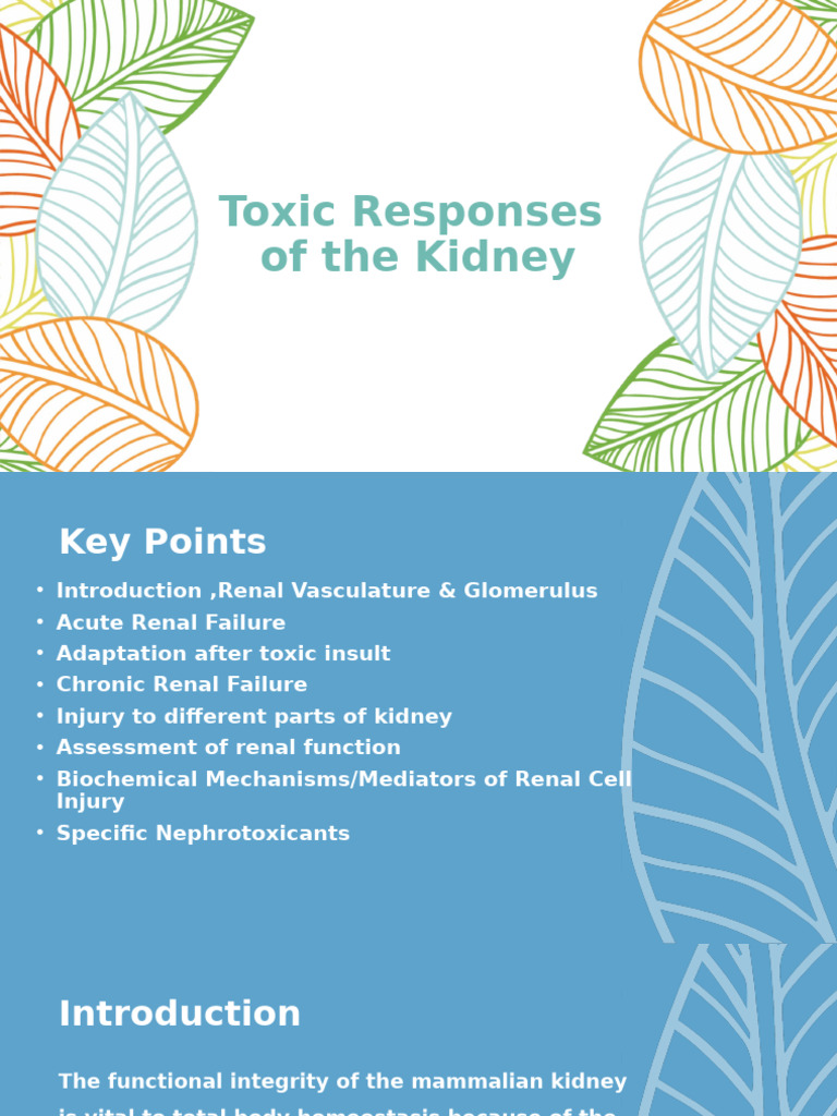 Toxic Responses of The Kidney | PDF
