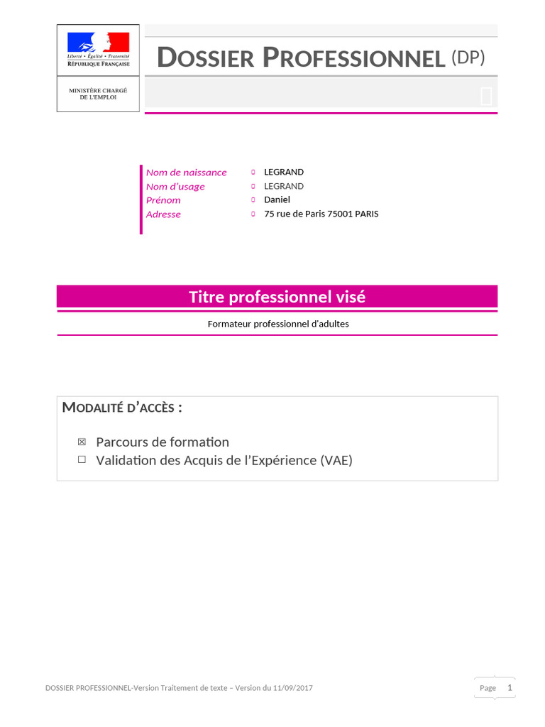 Dossier Professionnel FPA Modele Complet Wdggii | PDF