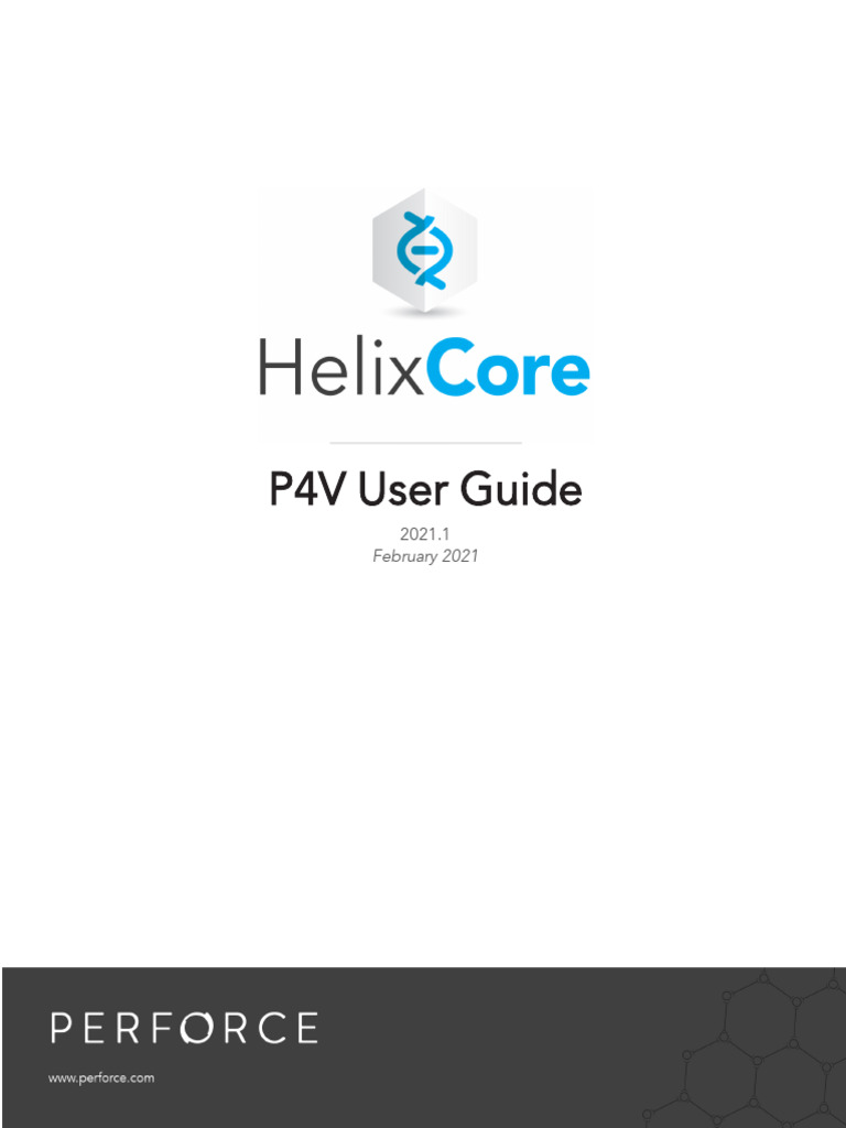 P4V User Guide: February 2021 | PDF