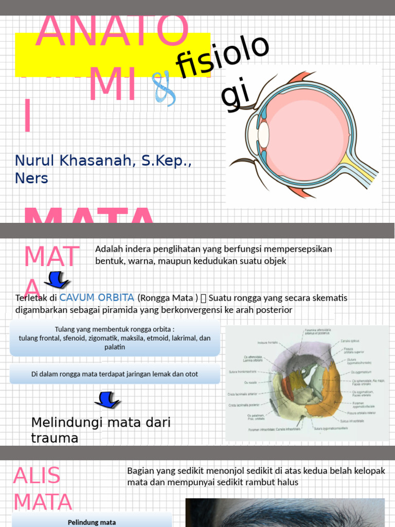 Anatomy Mata | PDF