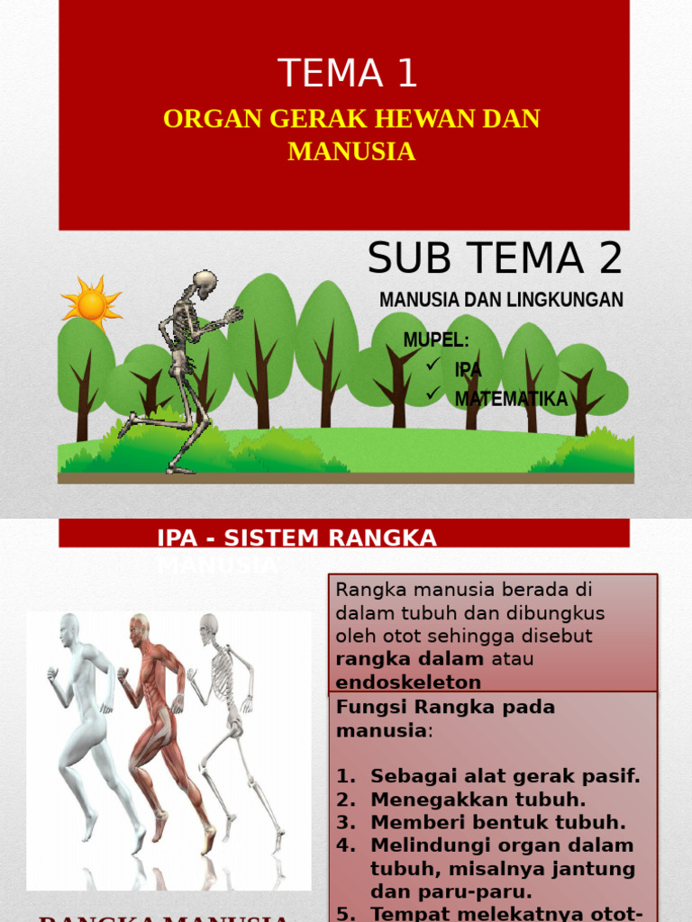 Ipa Organ Gerak Manusia Dan Matematika | PDF