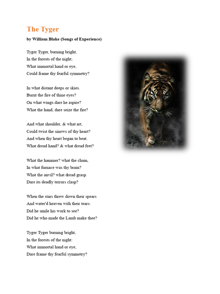 The Tyger by William Blake | PDF