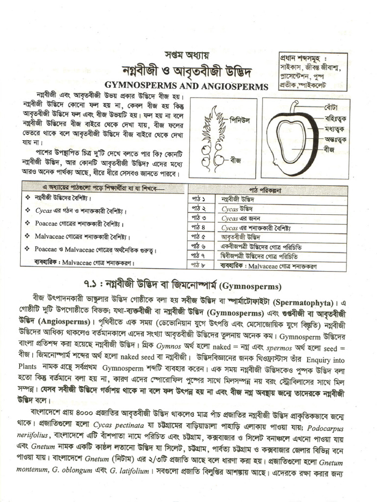 B-03 - Marked Book. | PDF