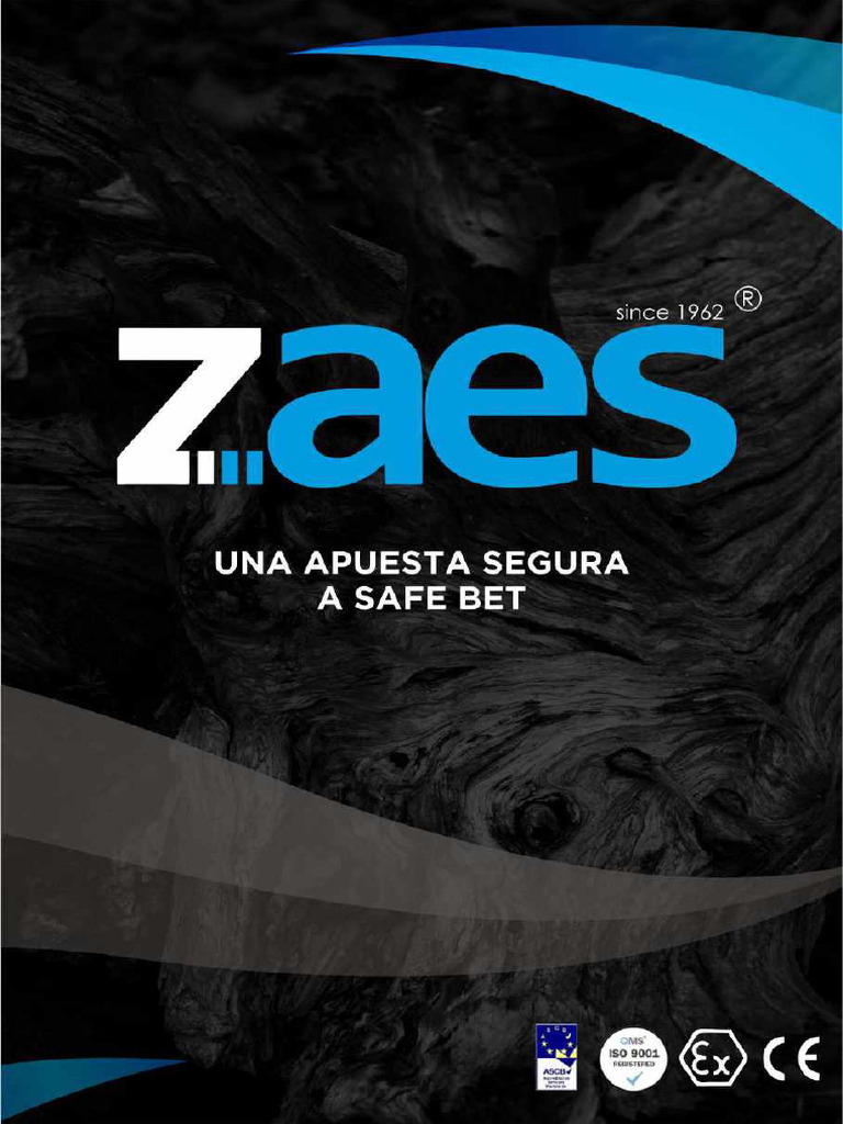 Catalogo ZAES 2021 Rev.2LC | PDF