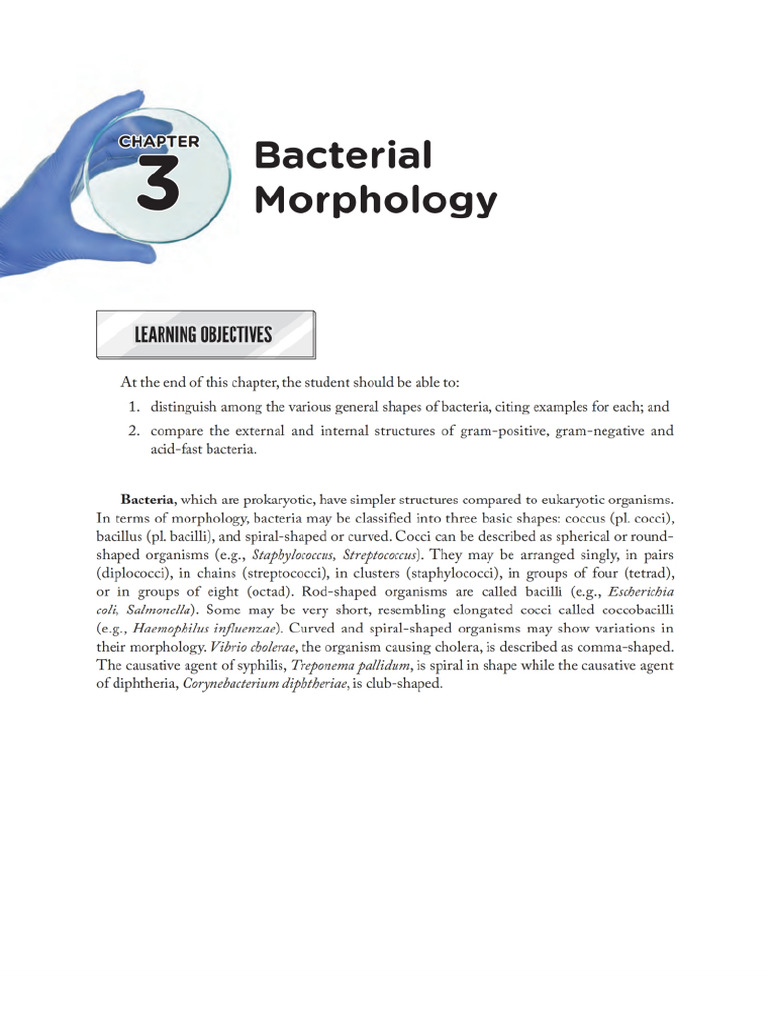Chapter-3-Bacterial-Morphology | PDF