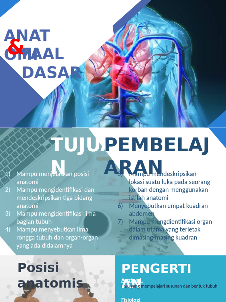 Anatomi Dan Faal Dasar 1 | PDF