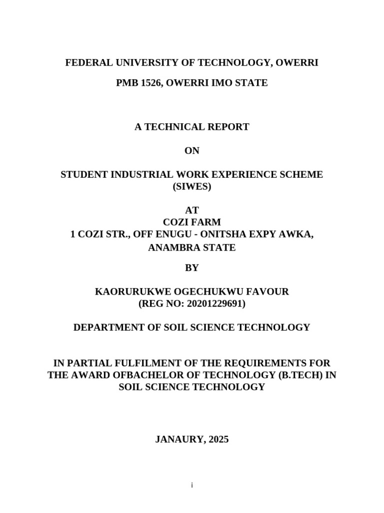 Kaorurukwe SST Report Prelimknary Paeg | PDF
