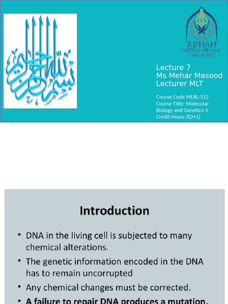 DNA repair and damage | PDF