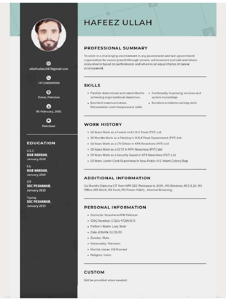 Dubai CV Hafeez Ullah | PDF