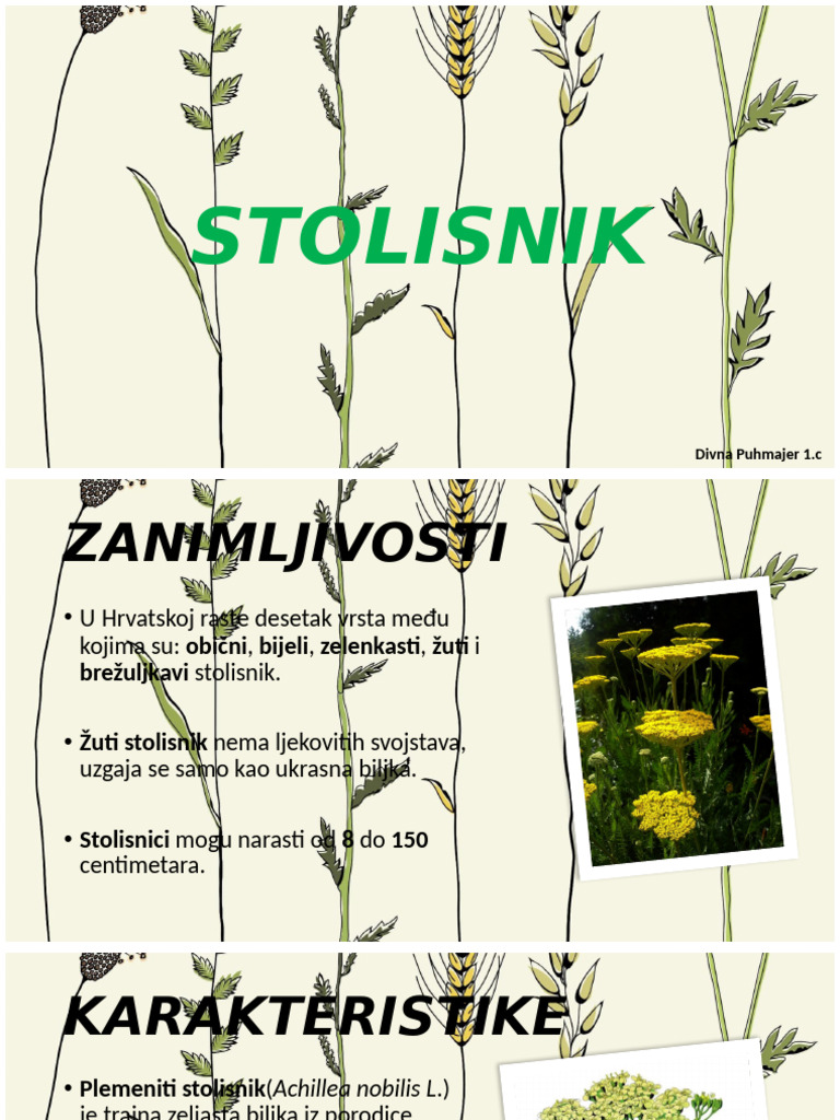 STOLISNIK | PDF
