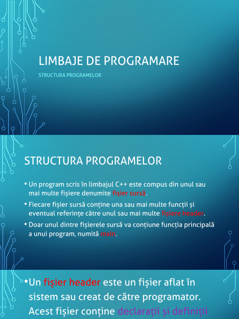 3 StructuraProgramelor | PDF