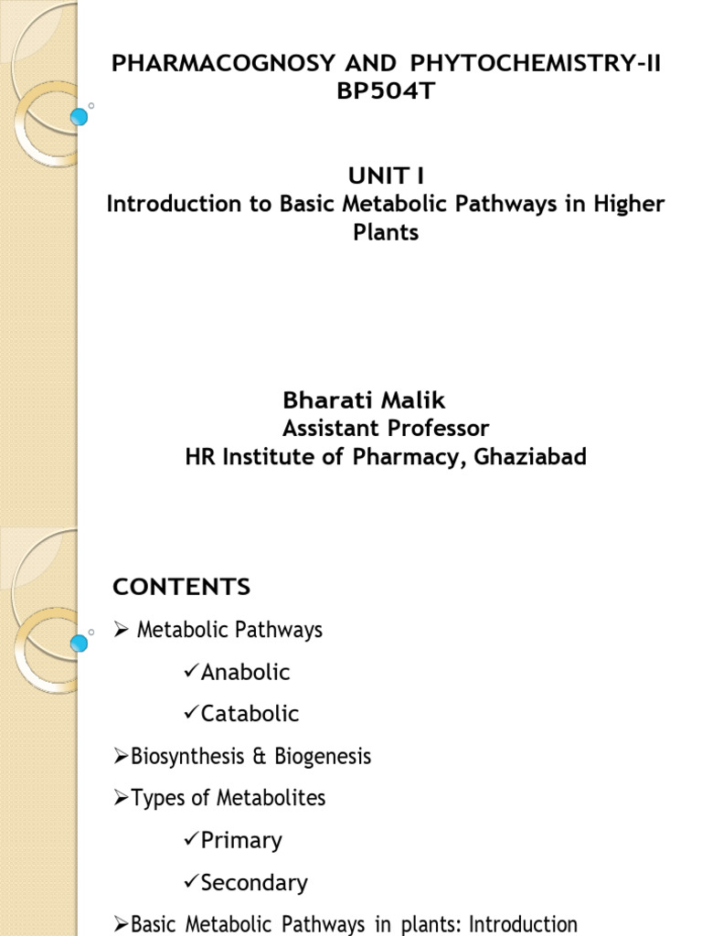 UNIT 1 | PDF