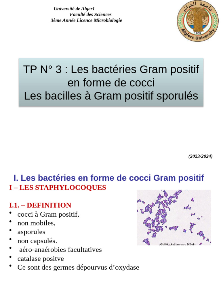 TP 3 Les Bactéries Gram+ 2023 | PDF