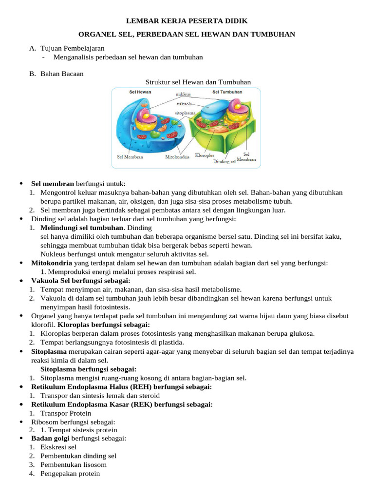 LKPD 2 Organel Sel Dan Perbedaan Sel Hewan Dan Tumbuhan | PDF