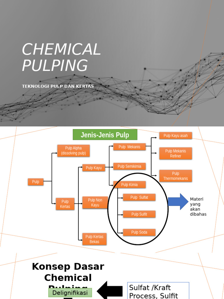 Delignifikasi Prosess | PDF