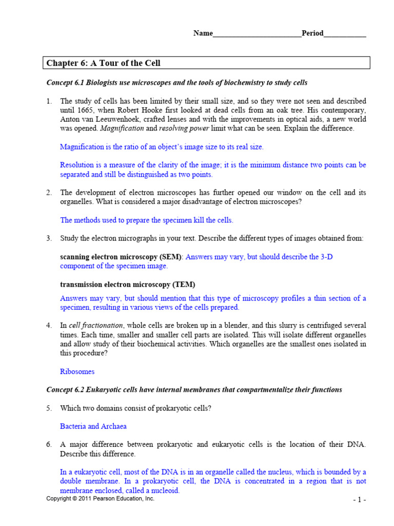 C9e Answers Active Reading 06 | PDF